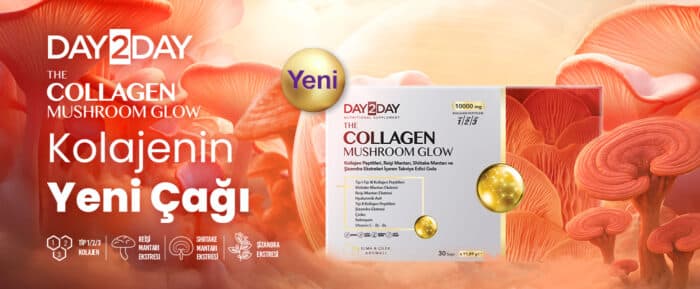 Day2Day: Kolajen İçerikli Gıda Takviyeleri Markası